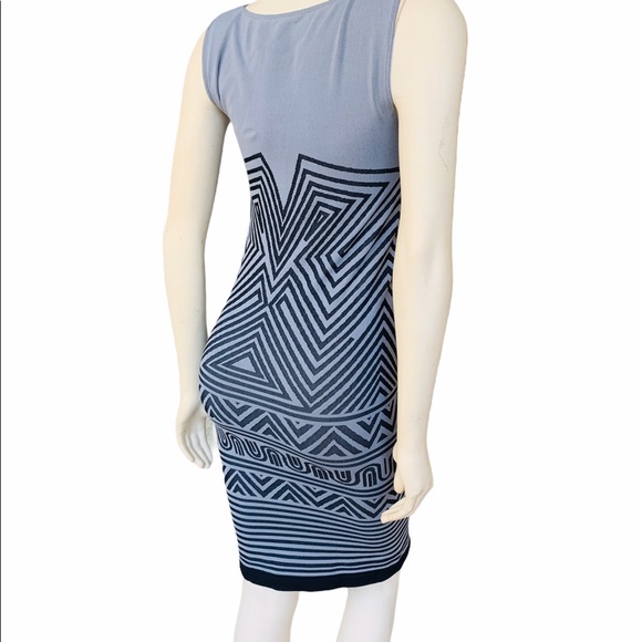 Alisse Thatcher | Dresses | Thatcher Dress By Alisse Thatcher Evolve ...